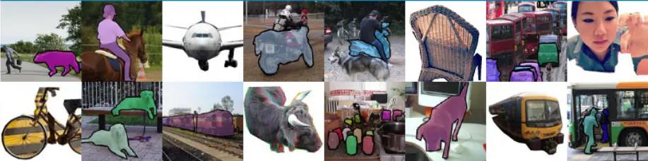 COCO Dataset Resolution Insights and Applications